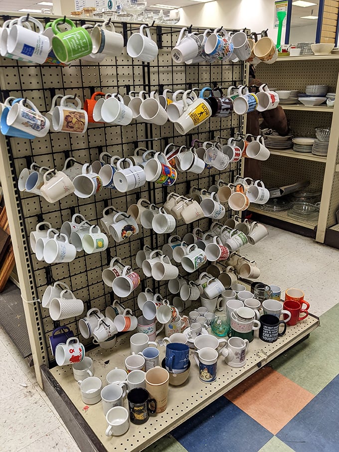 The mug wall—a ceramic gallery where coffee vessels from vacations never taken and companies long defunct find new morning routines.
