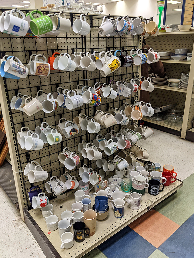 The mug wall—a ceramic gallery where coffee vessels from vacations never taken and companies long defunct find new morning routines.