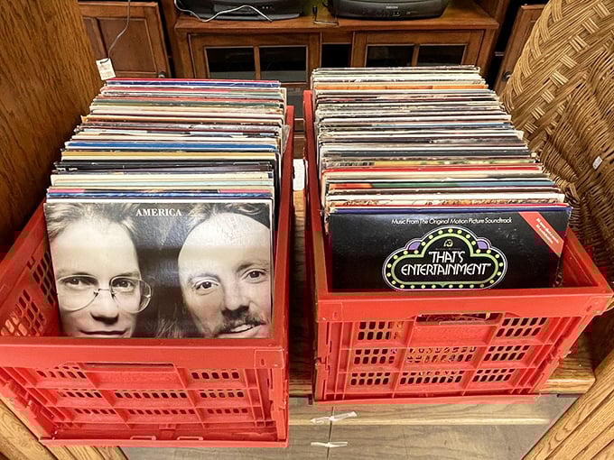 Vinyl treasures in milk crates – because sometimes the best playlist comes with a little surface noise.