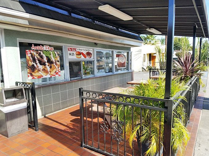 The outdoor patio—where palm trees provide the ambiance and the promise of pastrami provides the motivation to visit.