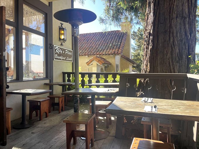 The outdoor patio—where you can commune with that magnificent tree while contemplating life's greatest question: sweet or savory?