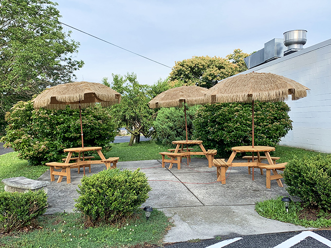 Thatched umbrellas and picnic tables create an island oasis in Pennsylvania—proof that sometimes the best tropical getaways are hiding in plain sight.