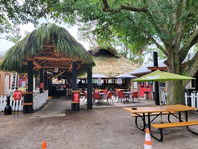 Outdoor seating under palm fronds and blue skies—the kind of place where lunch stretches into afternoon and nobody minds.