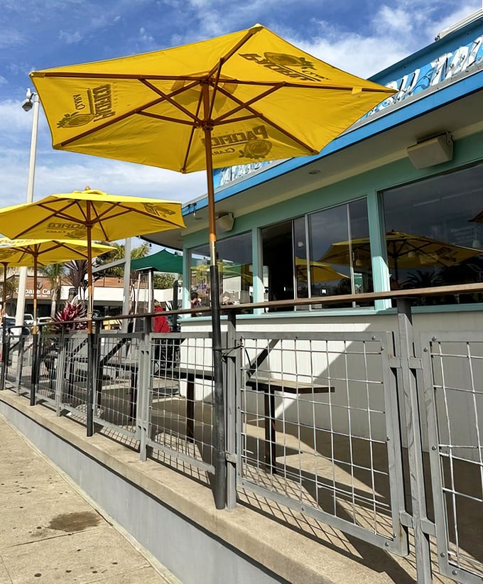 Yellow umbrellas create islands of shade where happy diners contemplate the serious business of deciding between "just one more taco" or saving room for dessert.