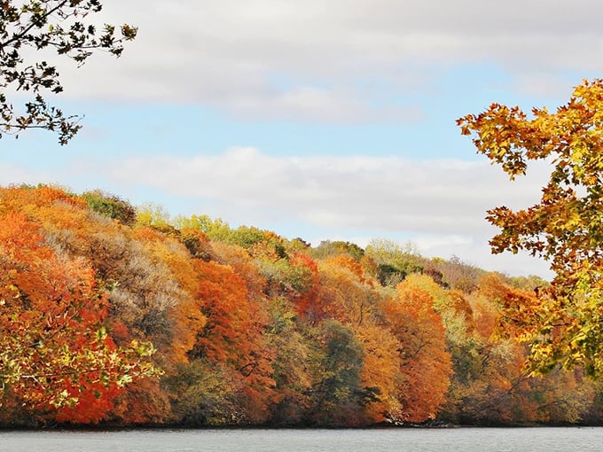Autumn here doesn't just change colors – it puts on a full Broadway production of seasonal splendor. 