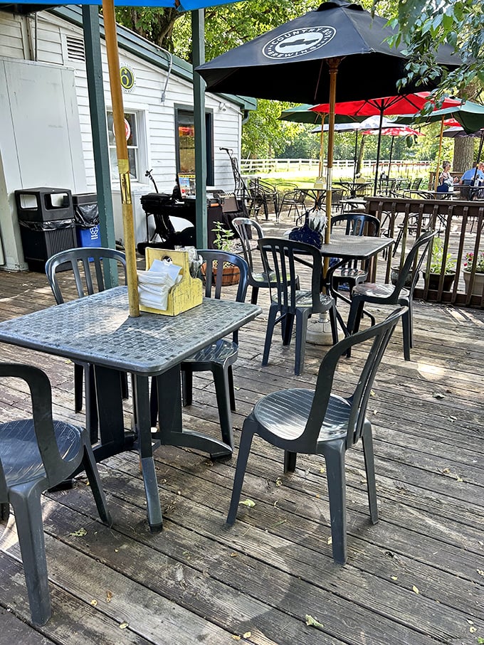 The outdoor patio—where dappled sunlight filters through trees and every breeze carries hints of nearby horse farms. Al fresco dining with Kentucky character.