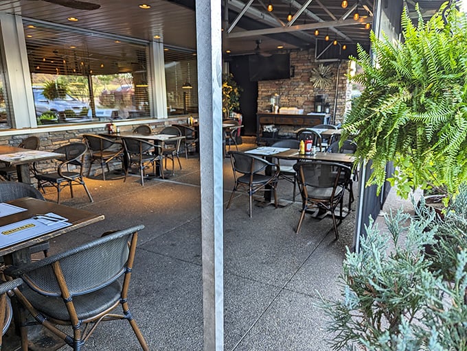 The outdoor patio offers fresh air dining without sacrificing comfort. Nature and nurture in perfect harmony, with ferns standing guard.