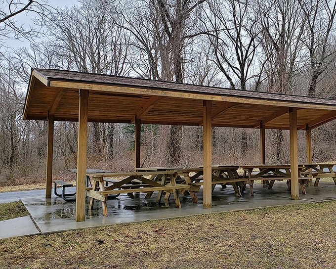 The park's picnic pavilion – where sandwiches taste 37% better simply because you're eating them outdoors.