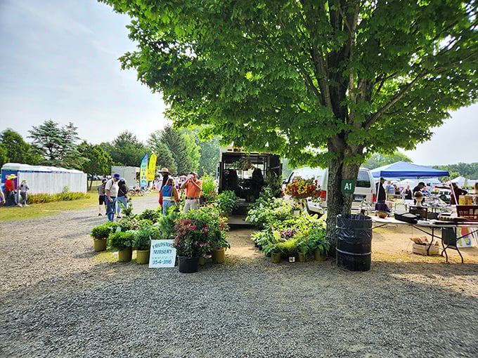 Green thumbs rejoice at plant vendors offering everything from hanging baskets to perennials. Garden inspiration blooms alongside vintage treasures.