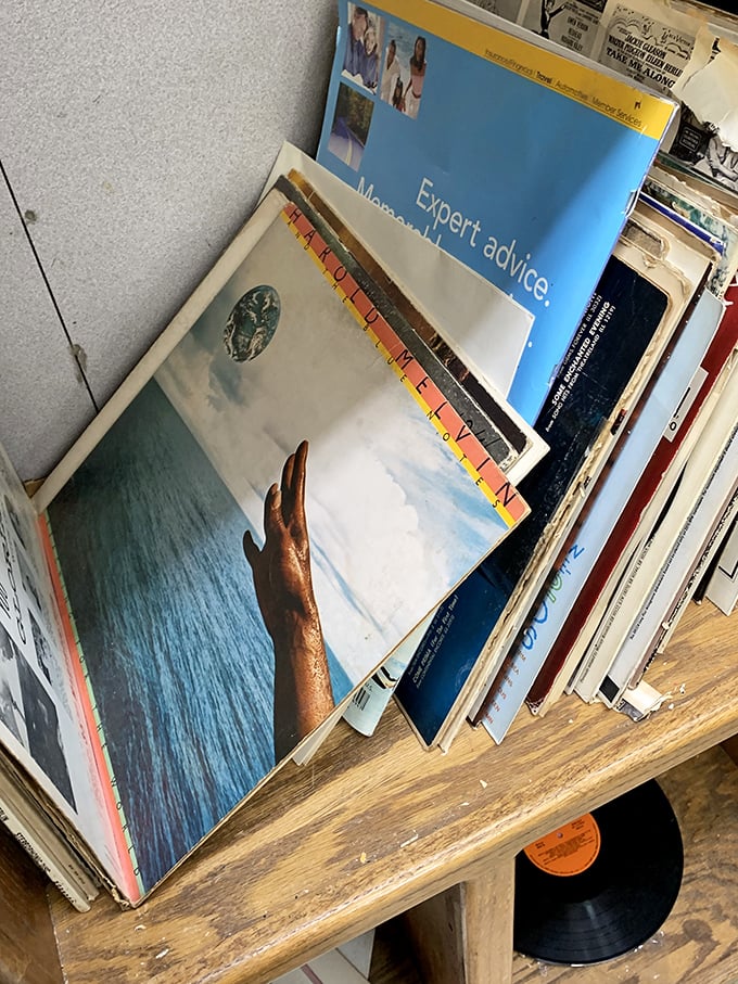 Vinyl treasures lean against each other like old friends, waiting for someone to appreciate their analog warmth in a digital world.