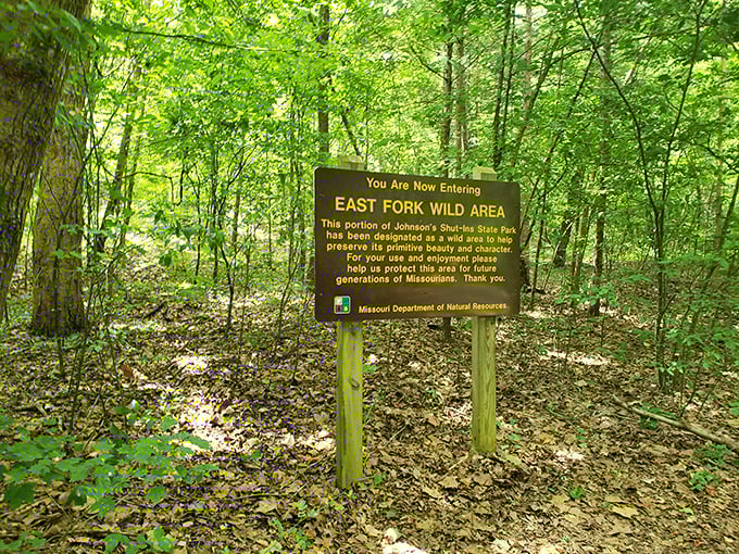 The East Fork Wild Area – where "primitive beauty" is the understatement of the geological era.