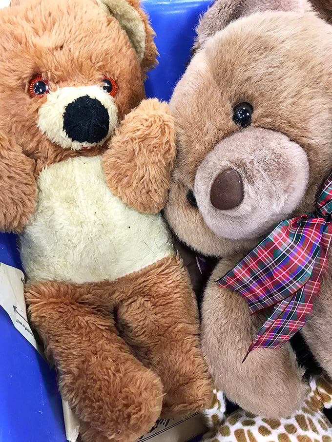 Teddy bear reunion! These plush pals are looking for their forever homes—and at these prices, you might adopt the whole family.