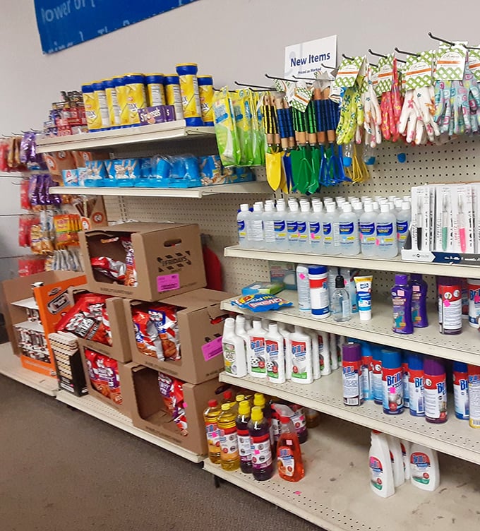 The household essentials aisle – where practical meets nostalgic in a parade of cleaning products from every era.