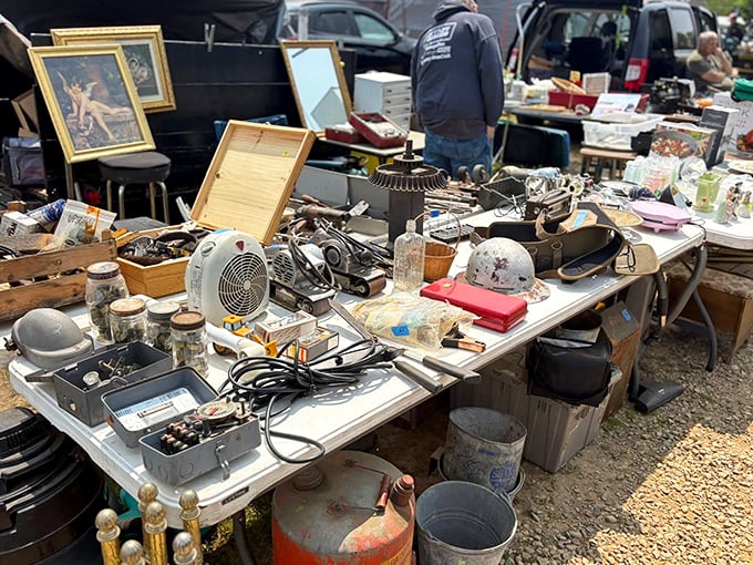 Tools that built America, or at least someone's backyard shed – rusty treasures with stories to tell.