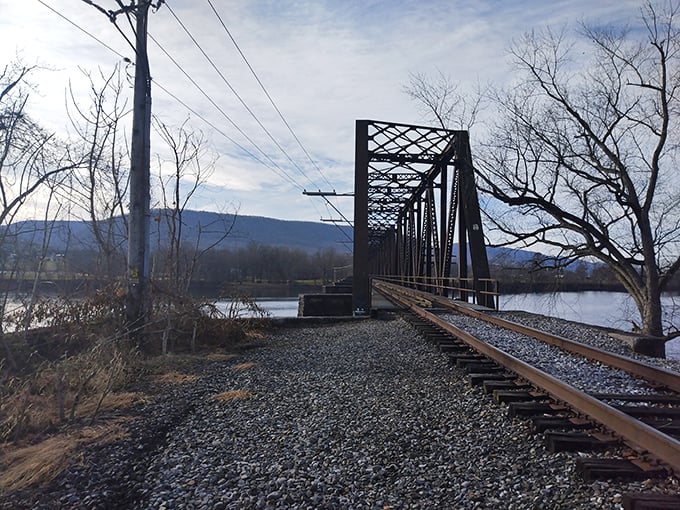 The railroad trestle stands as an iron testament to engineering ambition, framing the river that shaped Williamsport's destiny.