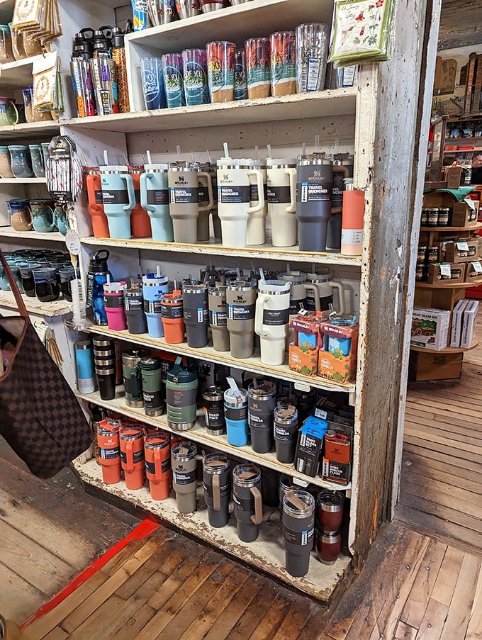 Modern tumblers in heritage colors stand ready for adventure—because nothing says "I'm outdoorsy" like drinking coffee from a vacuum-sealed vessel while checking emails.