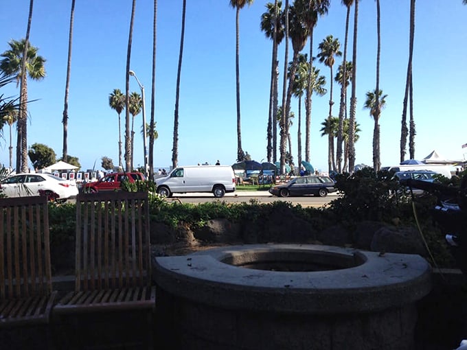 Palm trees frame the patio view – nature's exclamation points emphasizing that you've found one of Santa Barbara's true coastal treasures.