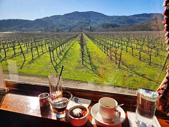 The view from your seat: vineyards, mountains, and wine—proving that sometimes the journey really is as good as the destination.