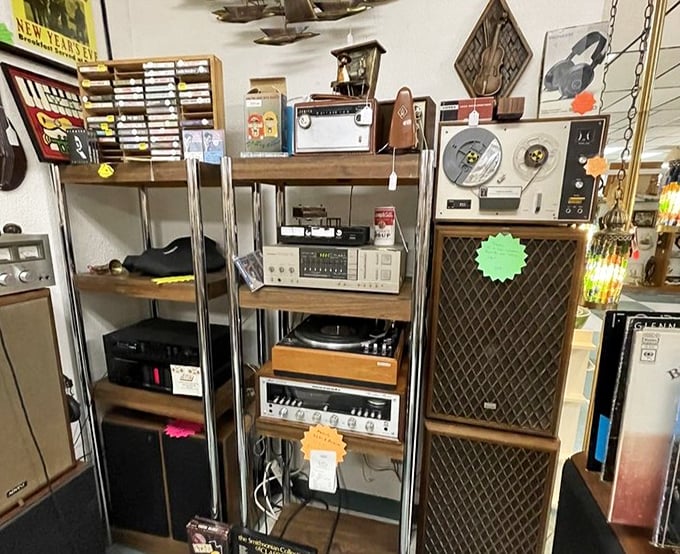 The audio equipment corner—where vinyl enthusiasts debate the merits of tube amplification. These speakers delivered Hendrix and The Beatles when they were just "new music."