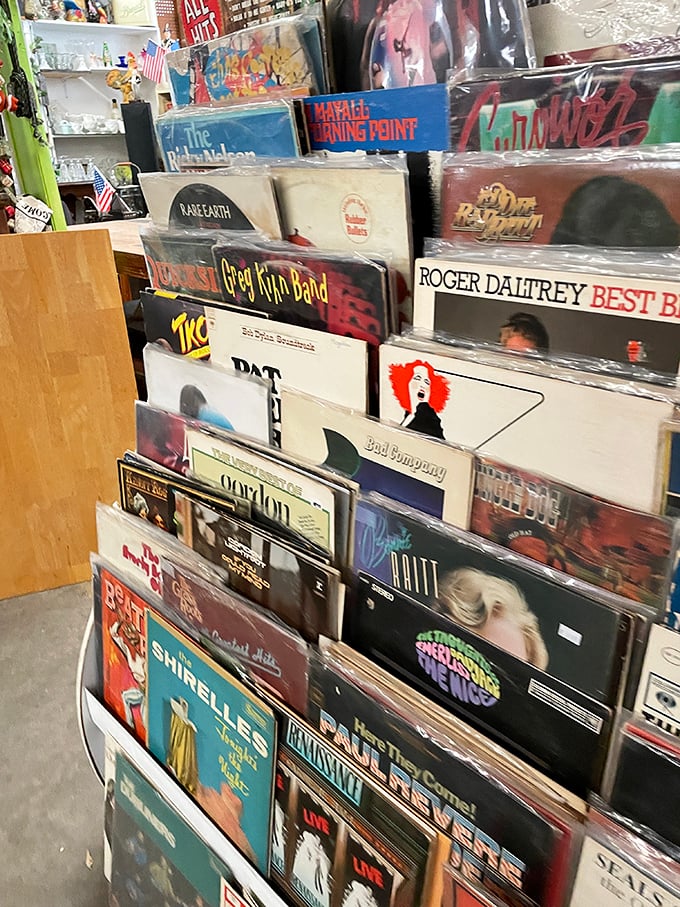 Vinyl treasure trove where music lovers dig through history, one album at a time, rediscovering the soundtrack of their youth.