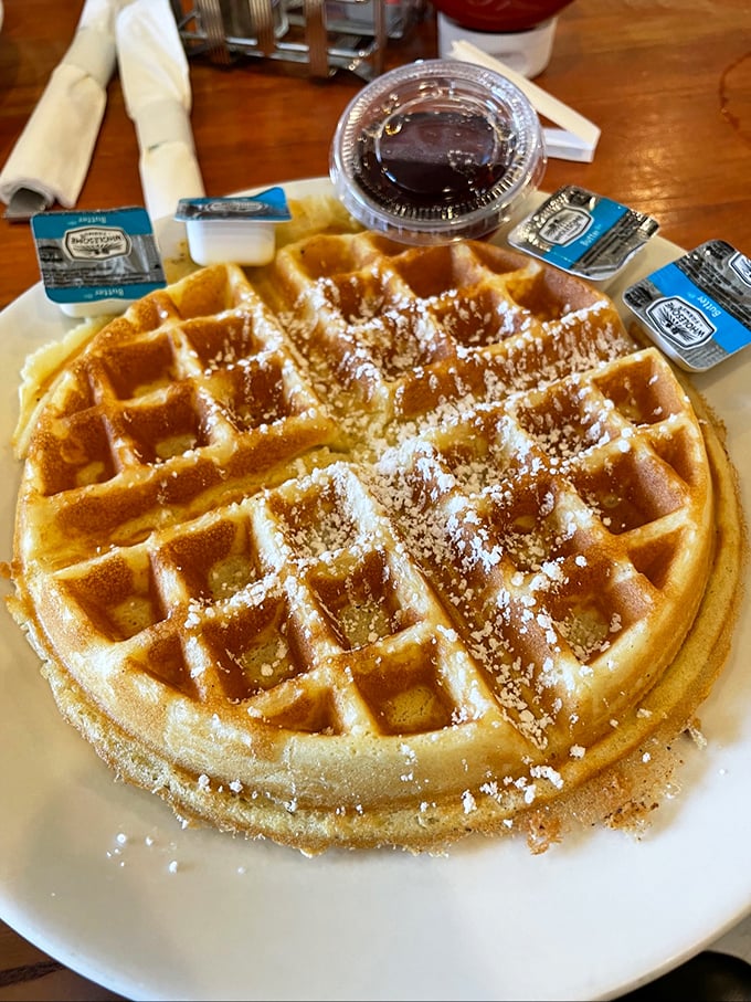 This waffle doesn't need a runway—it's already a supermodel. Golden, crisp exterior with a fluffy interior that's ready for its powdered sugar snowfall.