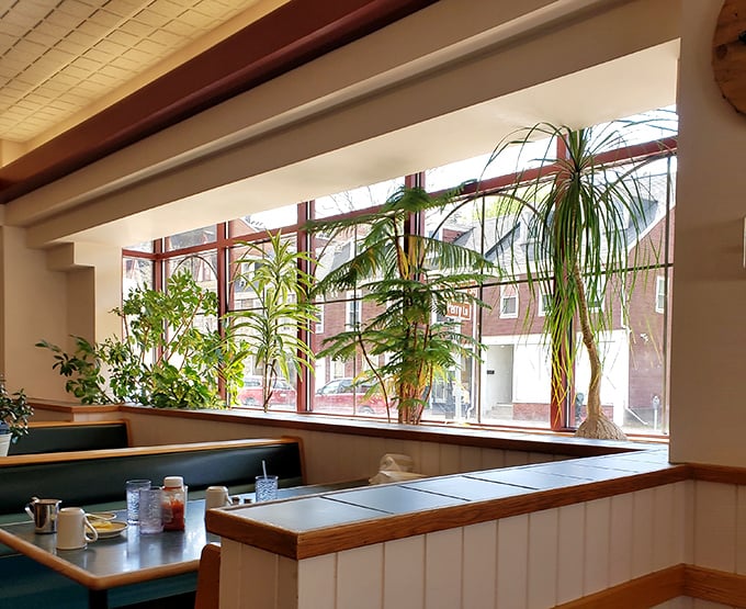 Sunlight streams through windows framed by lush plants – nature's way of high-fiving your decision to choose waffles over that boring granola.