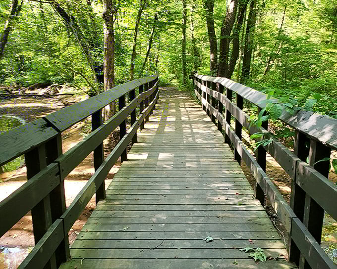 This wooden footbridge doesn't just connect two shores—it connects visitors to experiences they'll be talking about long after crossing back over.