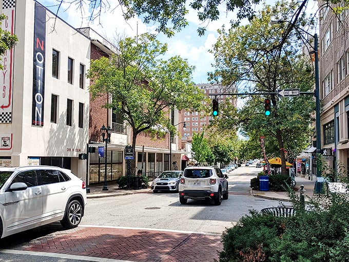A quiet street in Greensboro offers a charming urban vibe, with cozy shops and leafy sidewalks—perfect for retirees looking for city life without the hustle and bustle.