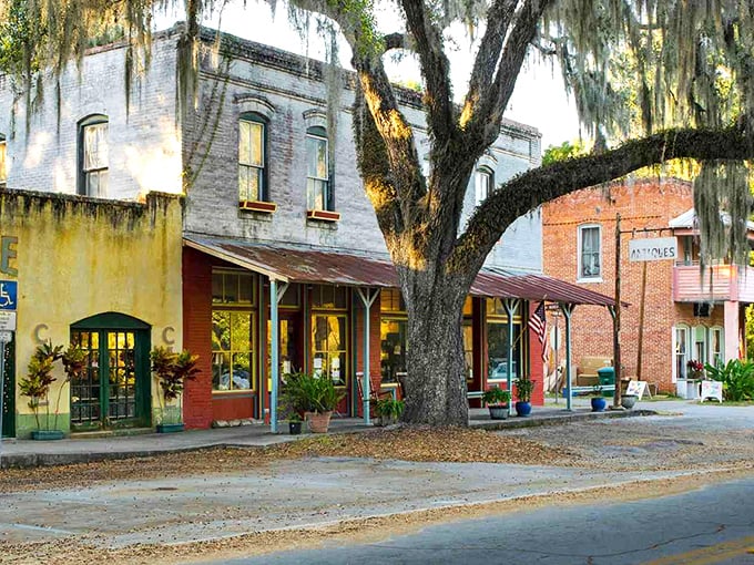 Micanopy's moss-draped oaks create natural archways over storefronts that haven't changed in generations.