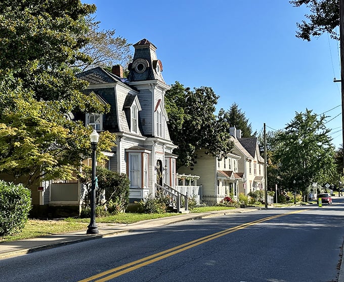 Milton's tree-lined streets create natural galleries where every season paints a different masterpiece.