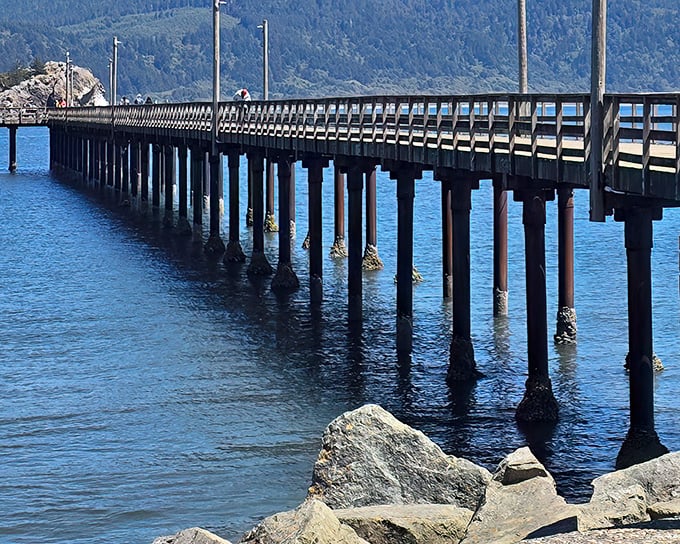 Pacific waves crash endlessly while your housing costs stay surprisingly calm in this northern coastal treasure.