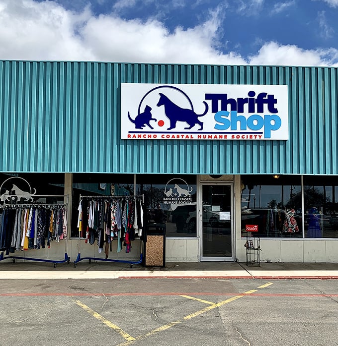 This seaside thrift shop pairs wagging tails with wallet-friendly treasures, turning every stop into a feel-good coastal find.