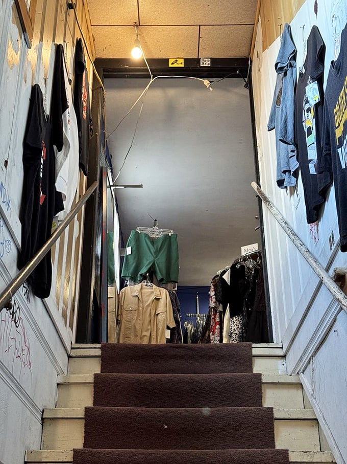 Climb those stairs and discover the second floor – where the really good stuff hides from casual browsers.