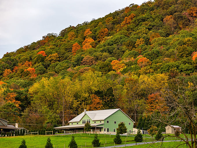Fall foliage creates a perfect backdrop for the mint-green farmhouse. Mother Nature showing off her interior design credentials again.