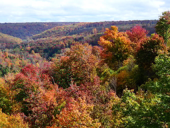 Autumn transforms the Kinzua Gorge into a painter's palette of crimson, gold and russet—Mother Nature showing off her most spectacular seasonal wardrobe.