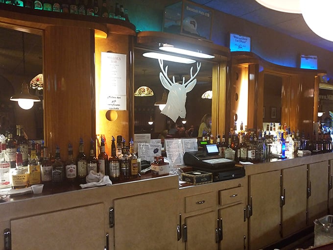 A bar that knows exactly what it is – unpretentious, welcoming, and crowned with a white deer head that's seen it all.