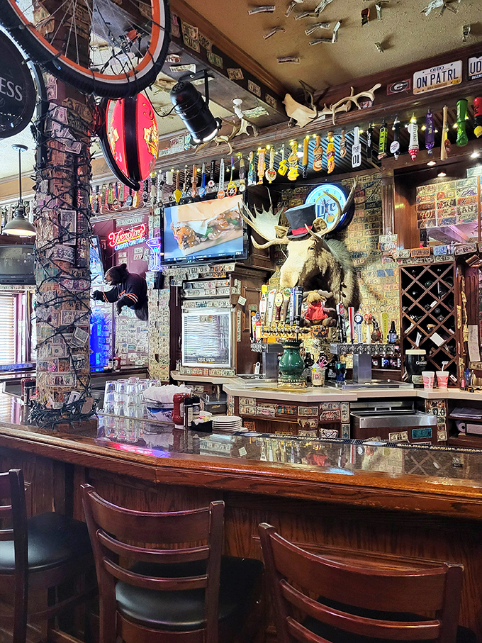 Where beer taps meet mounted wildlife in a distinctly Midwestern tableau that somehow makes perfect sense after your first sip.