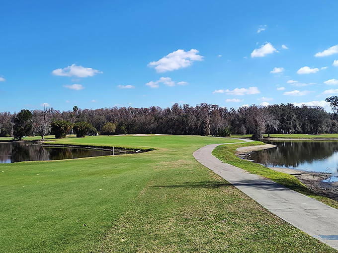 Golf as nature intended—water hazards that actually look natural and greens that don't require a second mortgage to play.