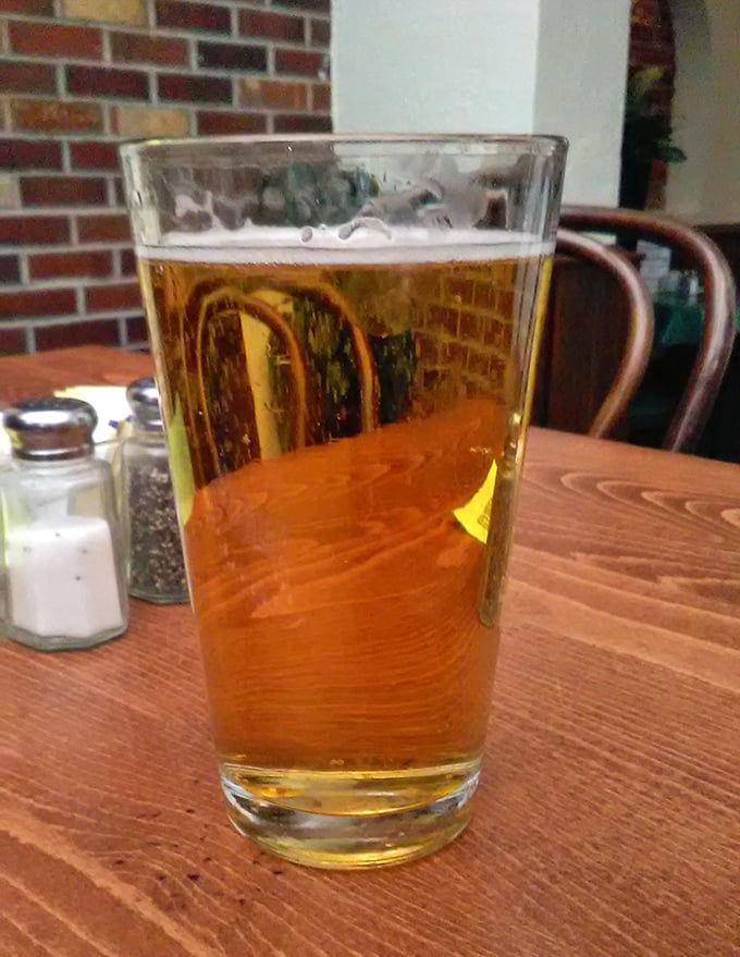 A perfectly poured beer catching the light just right – liquid amber that promises refreshment and good conversation in equal measure.