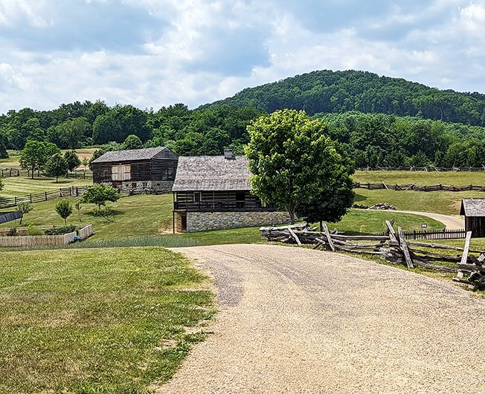 Nature trails that prove wilderness can exist peacefully right in your backyard, no survival skills required.