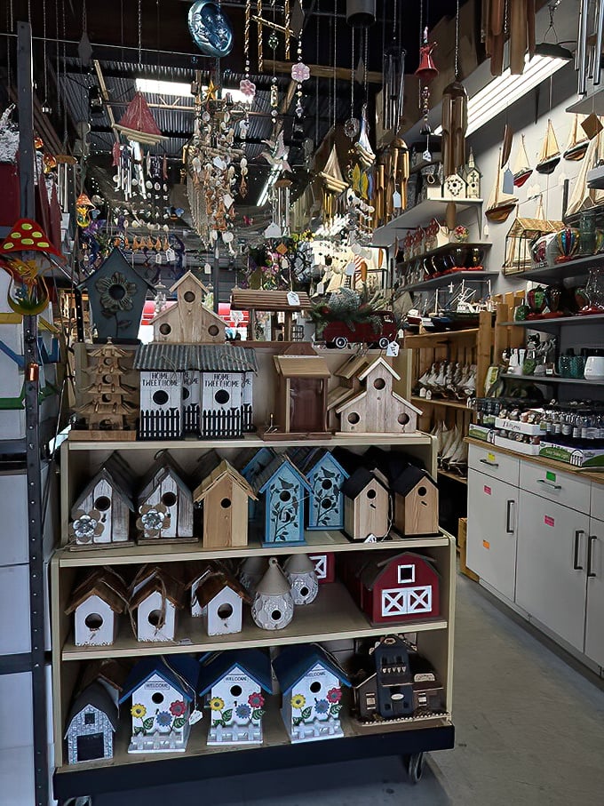 Birdhouse bonanza! These charming avian abodes range from coastal-chic to barnyard-rustic, perfect for feathered Florida residents seeking upscale digs.