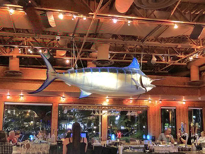 That blue marlin watches over diners like a guardian of good taste, silently approving your excellent restaurant choice.