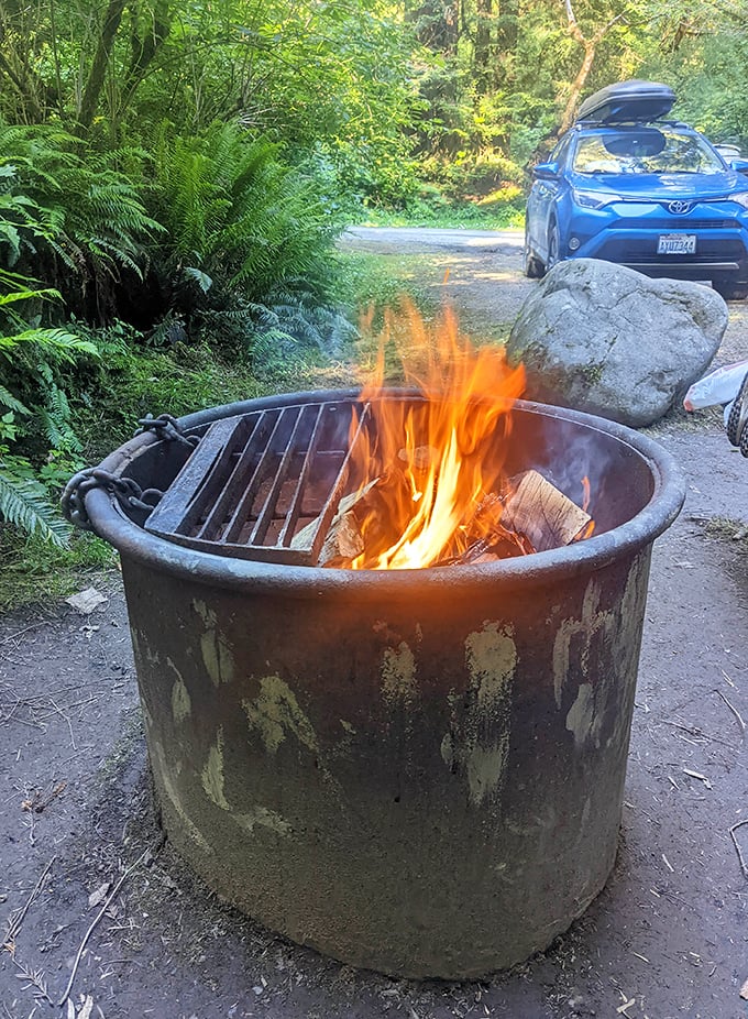 Campfires crackle with stories while towering sentinels stand guard over your evening wilderness conversations.
