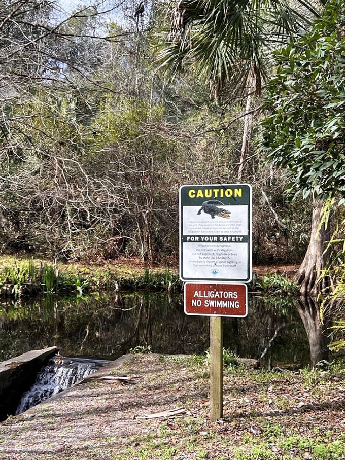 "Alligators: No Swimming" – possibly the most Florida sign ever. A gentle reminder that some residents prefer you stay on the trails.