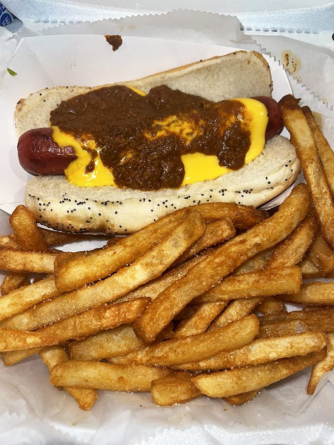 The chili cheese dog and fries—a combination so perfect it should have its own national holiday. Worth every napkin you'll need.