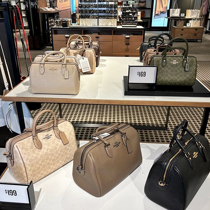 Coach bags that normally require a small loan now sit within financial reach. The hardest decision isn't whether to buy, but which color to choose.