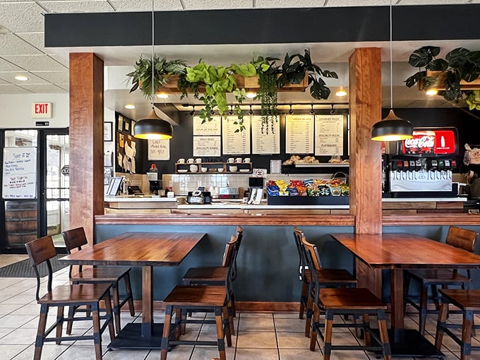 The counter area, where sandwich dreams come true, adorned with hanging plants that add a touch of life to the already vibrant space.