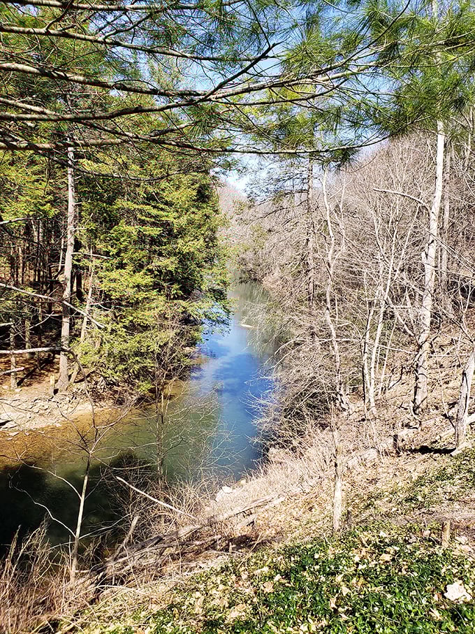 Great Trough Creek carving its masterpiece. This waterway has been sculpting the landscape for millennia, creating a gorge that rivals any art gallery.