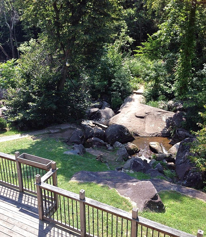 This creek doesn't need a filter—Mother Nature already perfected the lighting, the rock placement, and that impossible-to-replicate peaceful ambiance.