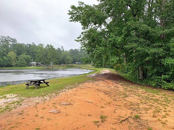 The reddish Carolina clay meets the lake's edge in a perfect boundary between worlds—one solid, one fluid, both beautiful.